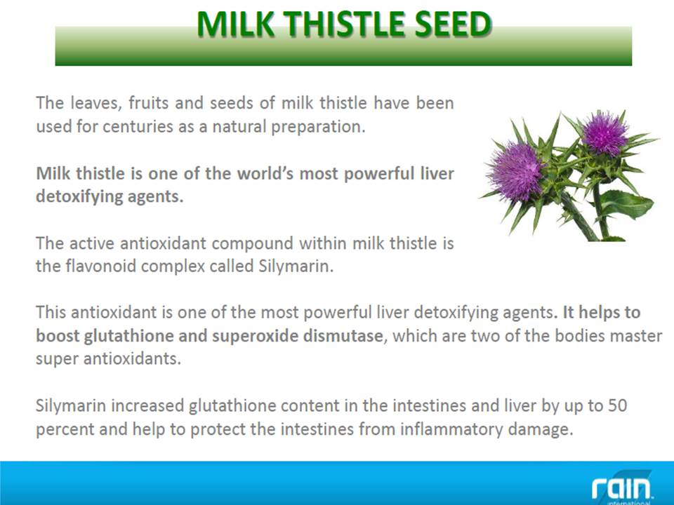Top 10 Health Benefits Of Milk Thistle - Rain Soul - Rain International ... Top 10 Health Benefits Of Milk Thistle - Rain Soul - Rain International ...